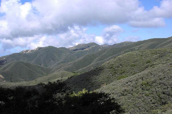 Flora y fauna del Chaparral: descubre sus características y ejemplos