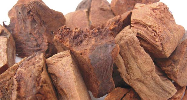 Cocolmeca: qué es, usos y efectos secundarios de esta raíz medicinal